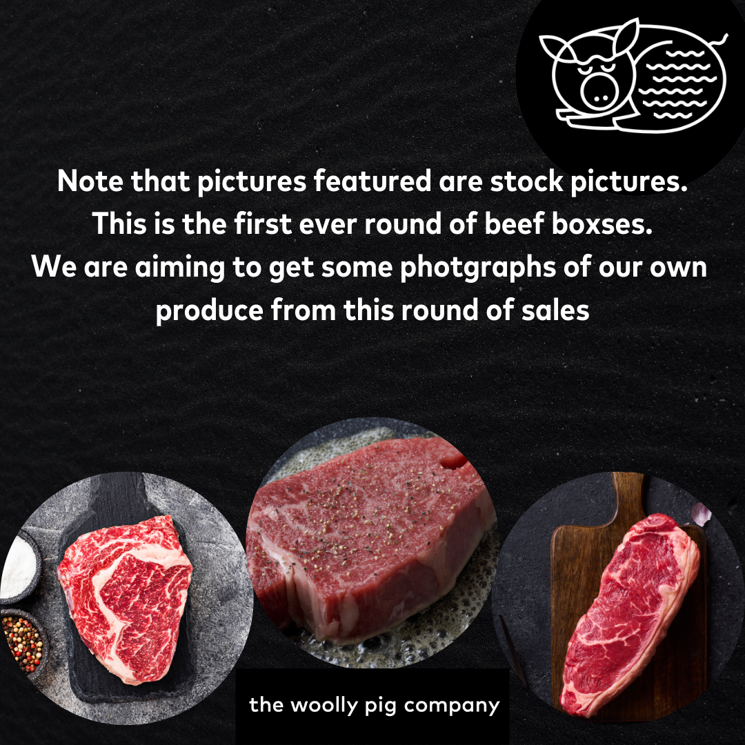 The Glenaros Highland Beef Box – The Woolly Pig Company